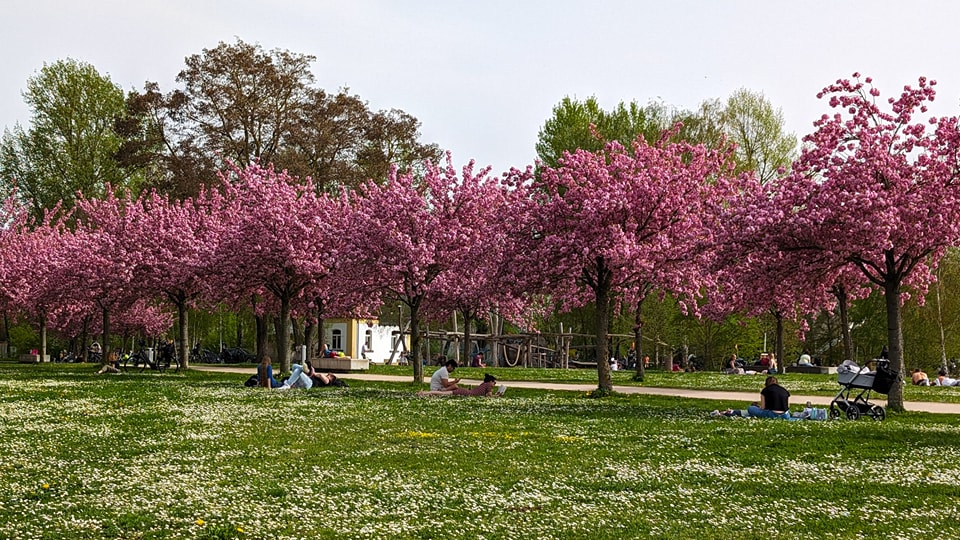 Der Erba-Park | wanderzwerg.eu - aktiv mit kindern